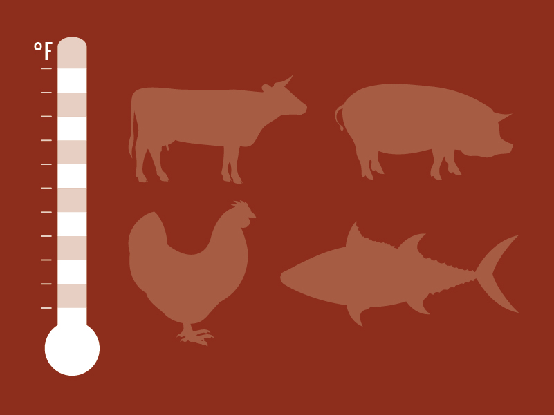 Meat Temperature Guide – Get the Free PDF! | Cook Smarts