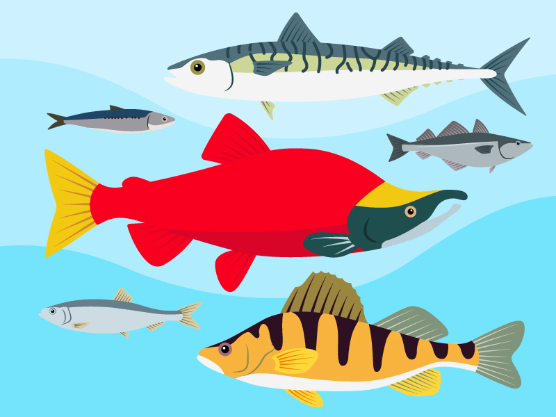 Beginners Guide to Cooking Fish | How to Buy, Cook, and Substitute Fish ...