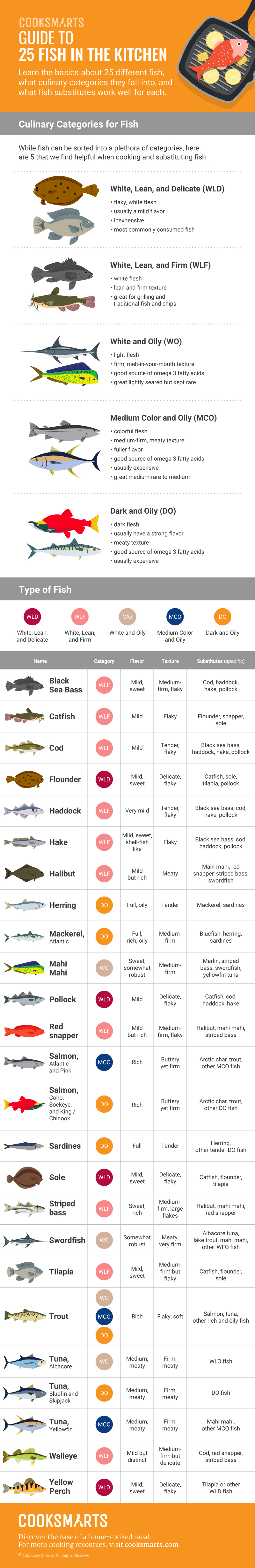 Beginners Guide to Cooking Fish | How to Buy, Cook, and Substitute Fish ...